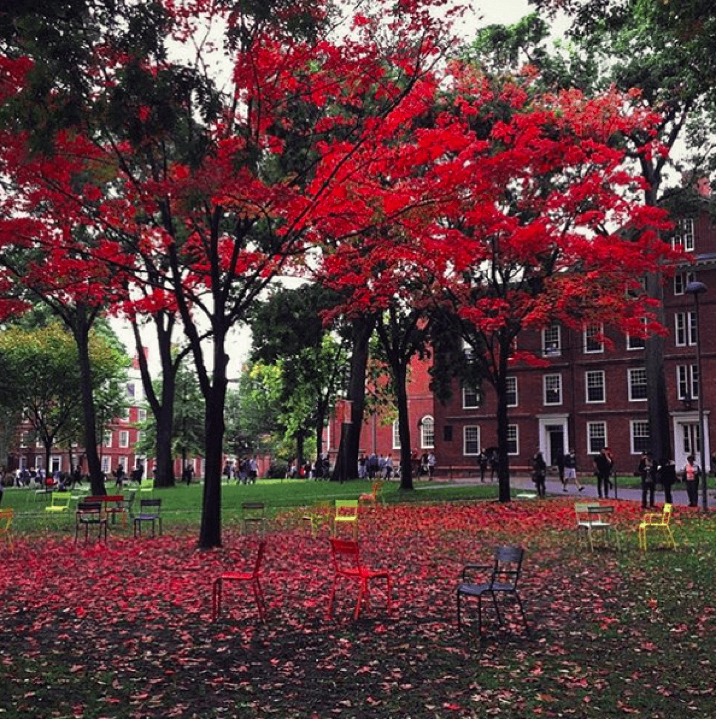 Harvard in Autumn | Harvard John A. Paulson School of Engineering and ...