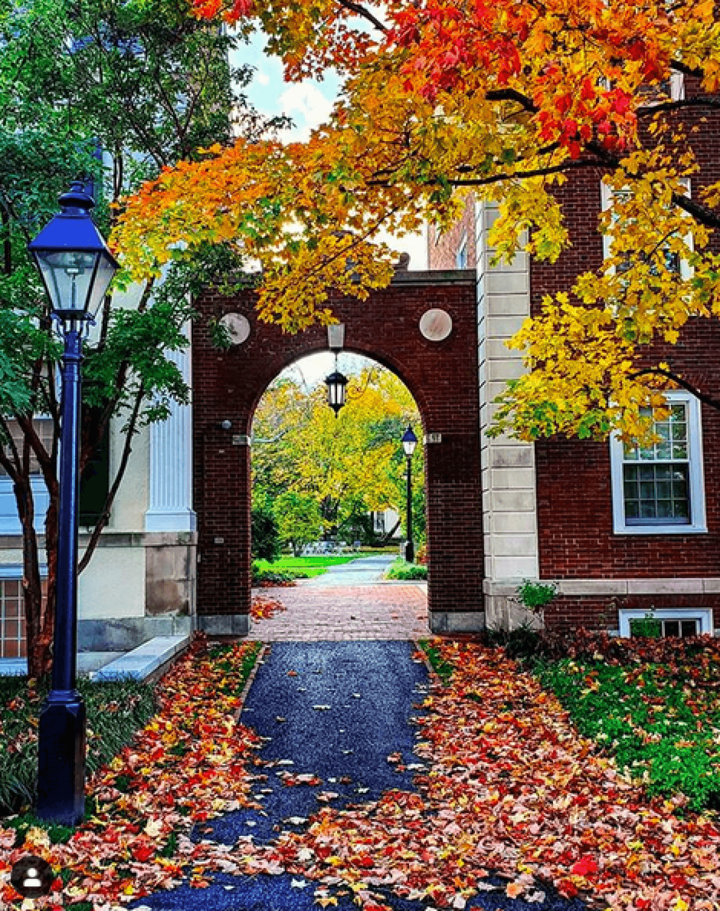 Harvard in Autumn | Harvard John A. Paulson School of Engineering and ...