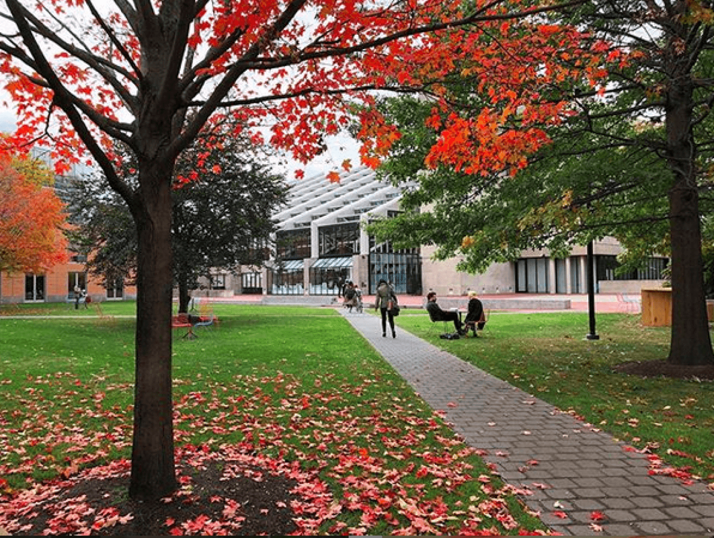 Harvard in Autumn | Harvard John A. Paulson School of Engineering and ...