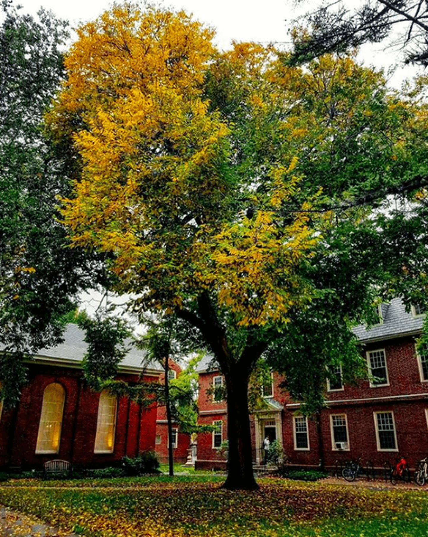 Harvard in Autumn | Harvard John A. Paulson School of Engineering and ...