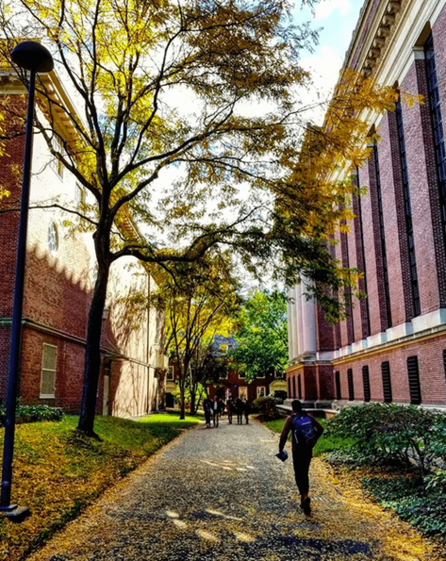 Harvard in Autumn | Harvard John A. Paulson School of Engineering and ...