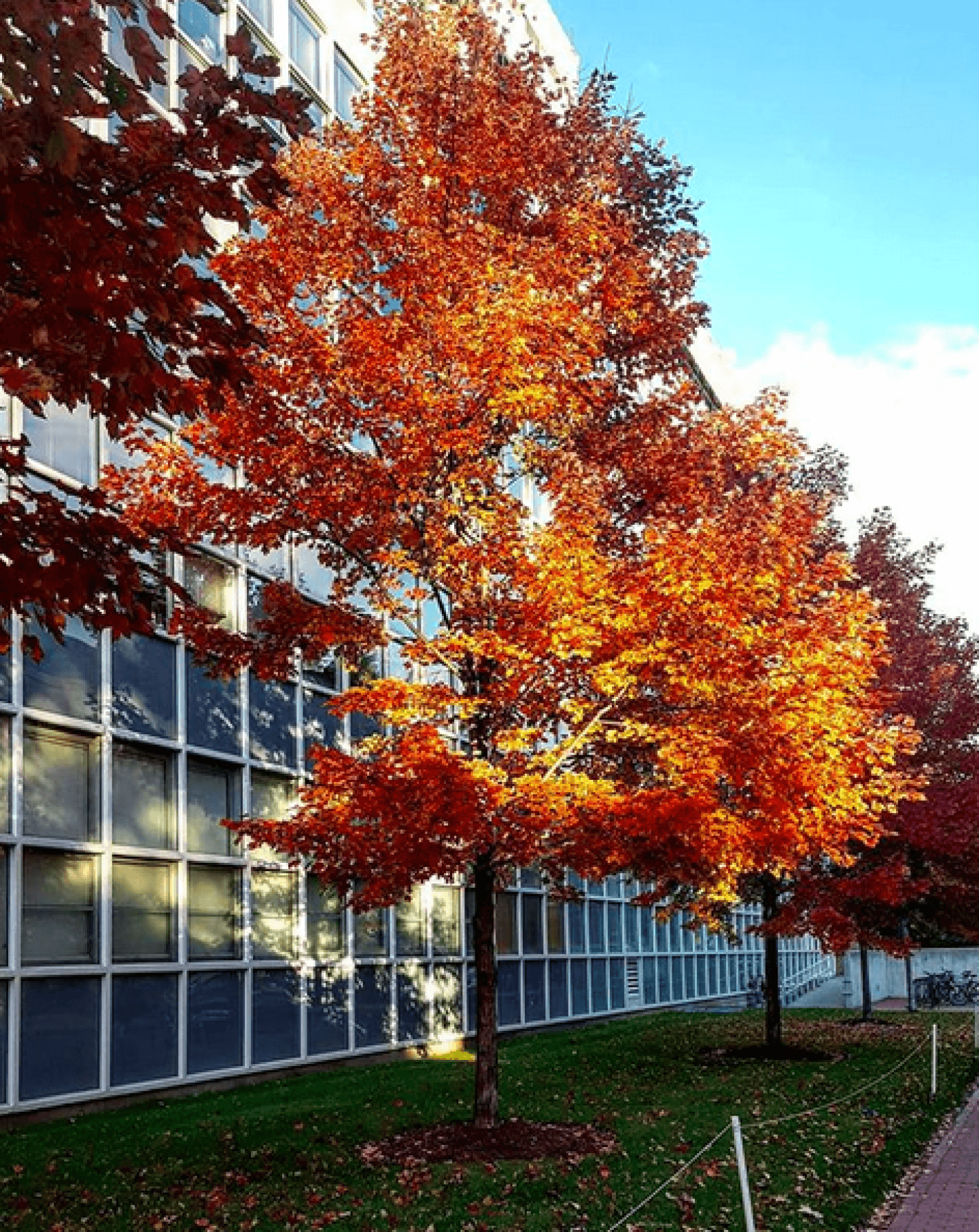 Harvard in Autumn | Harvard John A. Paulson School of Engineering and ...
