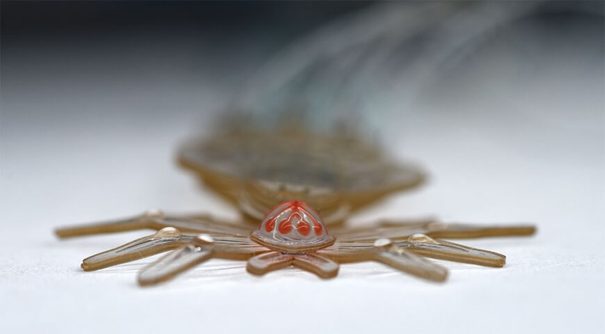 Soft multi-functional robots get really small