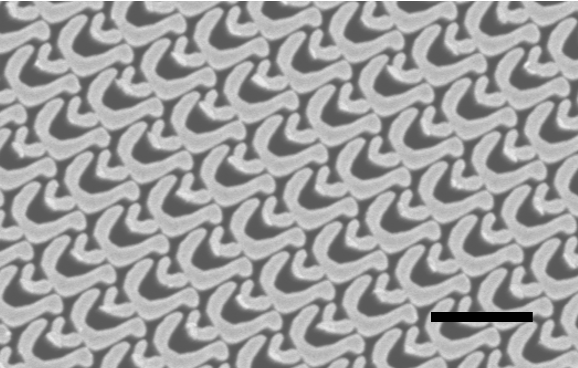 Metasurface opens world of polarization | Harvard John A. Paulson ...