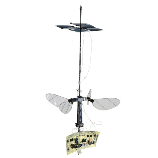 The RoboBee flies solo | Harvard John A. Paulson School of Engineering ...